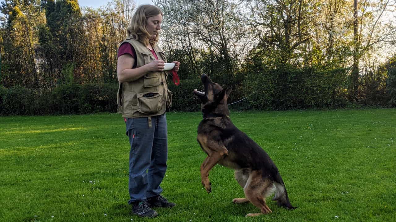 Unsere Aktiven – SV-OG-Schöneck / HSV Schöneck